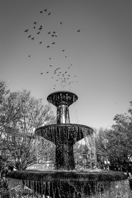 Suspect Photography | words and images from david george brommer