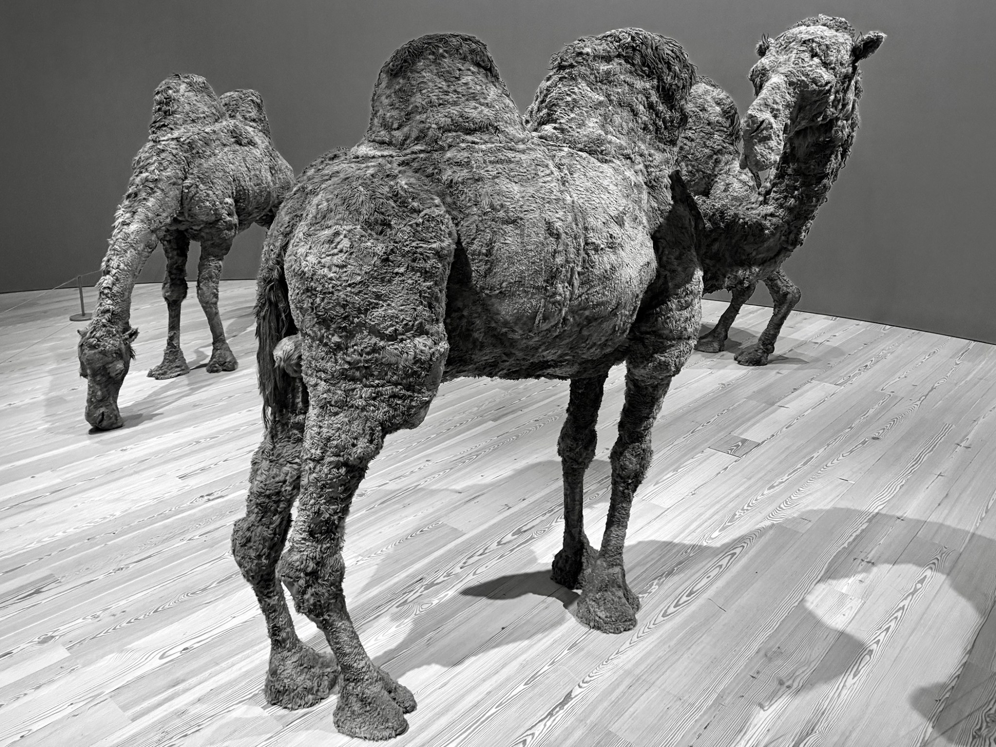 Suspect Photography | words and images from david george brommer