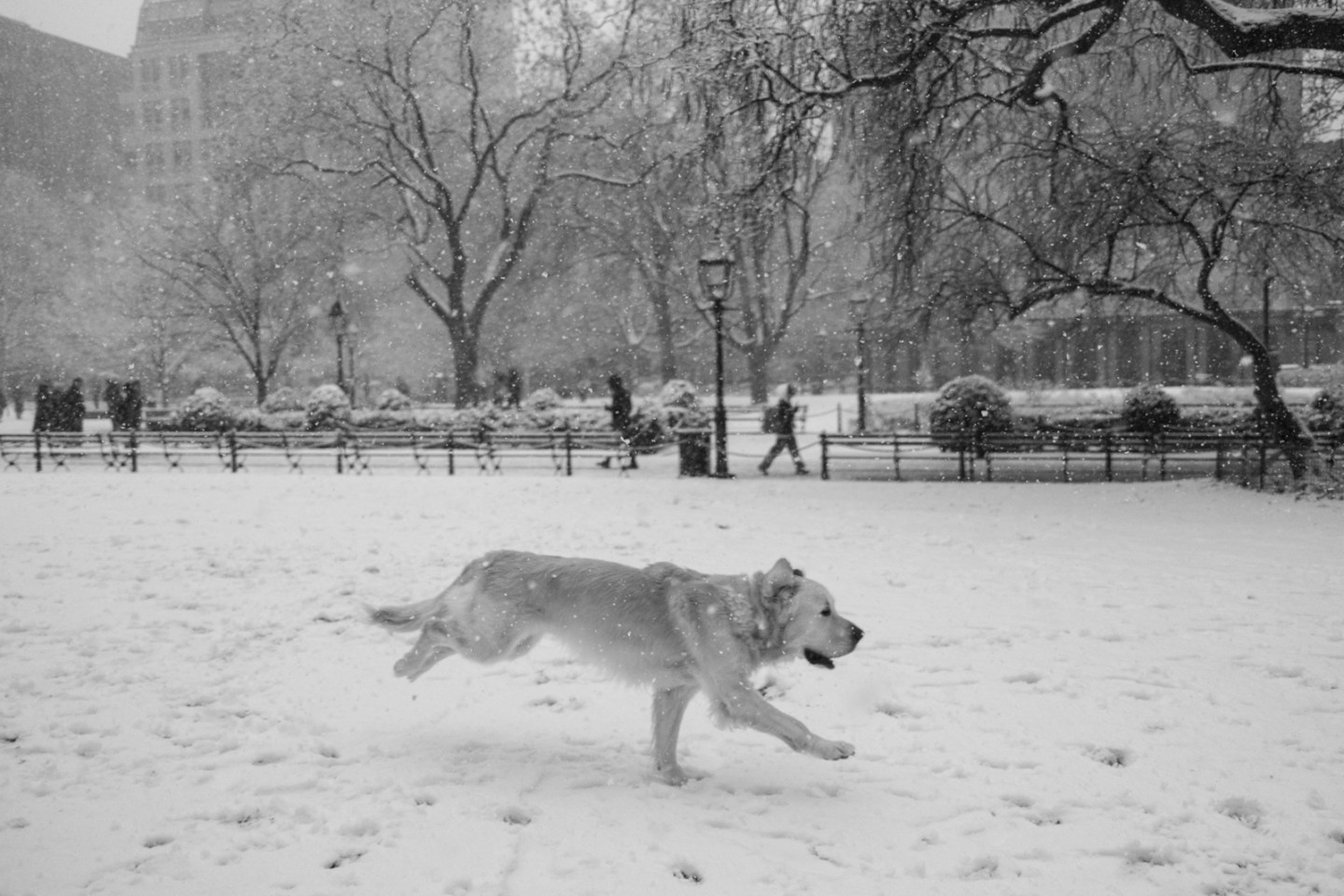 Suspect Photography | words and images from david george brommer